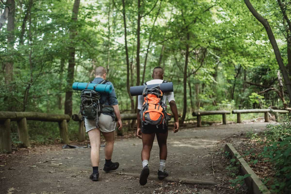 Get Paid to Walk: 25 Easy Ways To Earn Extra Money In 2025